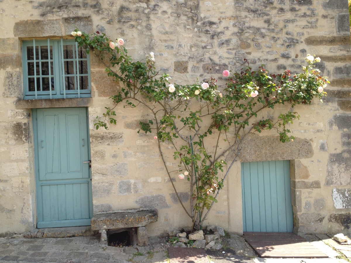 Natural balance – Colin Bisset