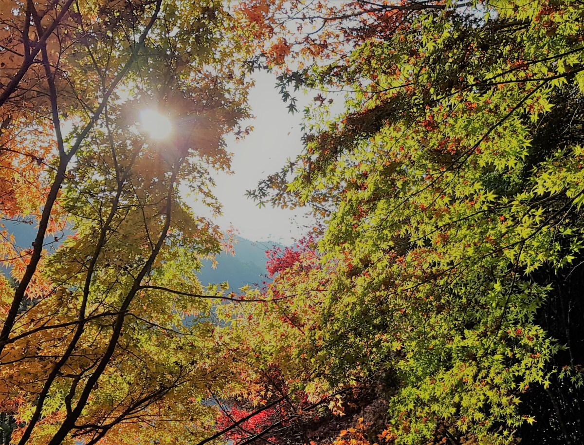 The seventh of October – Colin Bisset